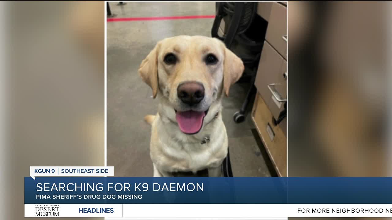 Missing PCSD K9 found safe