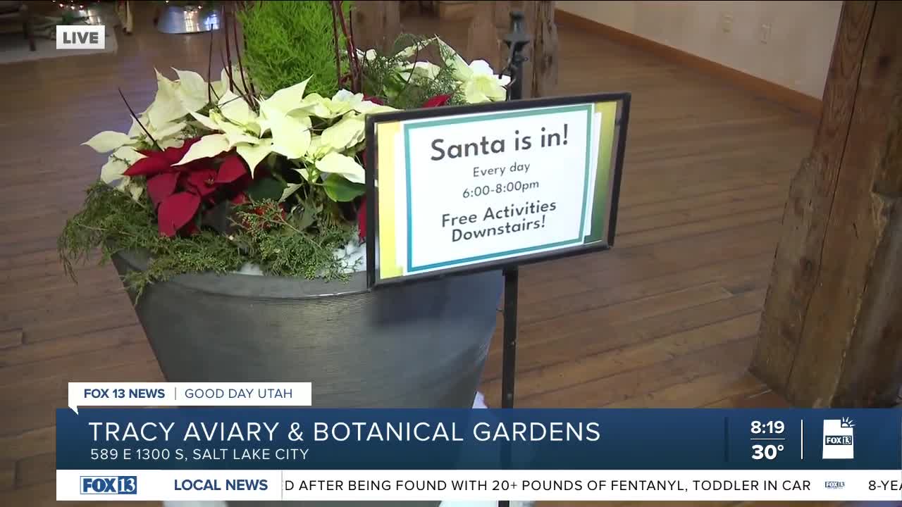 The Lightwalk (and more!) at the Tracy Aviary