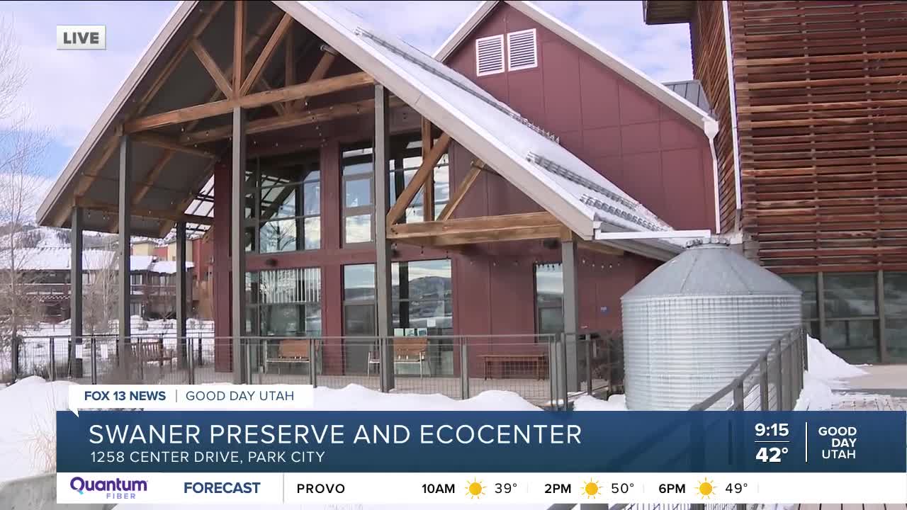 Swaner Preserve and Ecocenter features Snow Exhibit