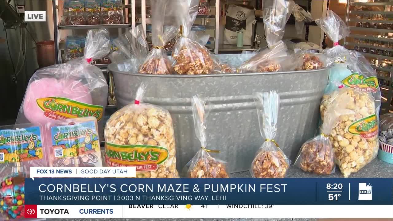 Cornbelly's Corn Maze and Pumpkin Fest