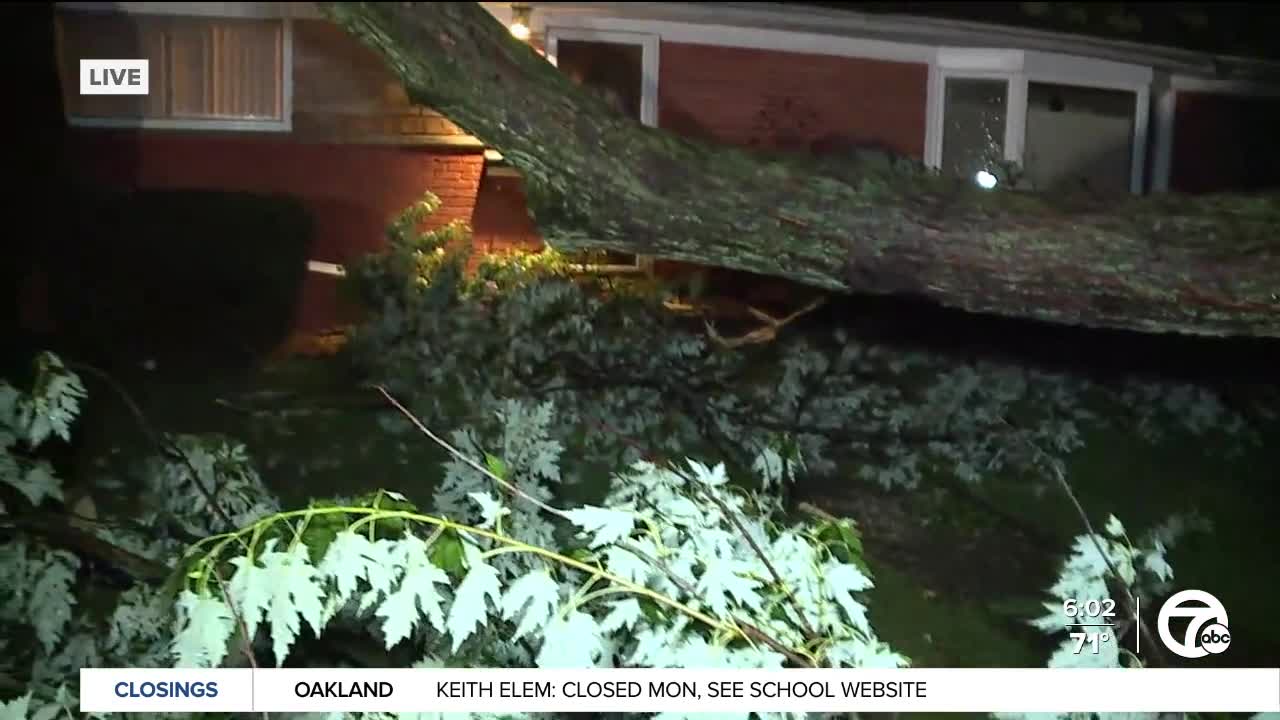 Downed trees, power lines: See videos of widespread damage across metro ...