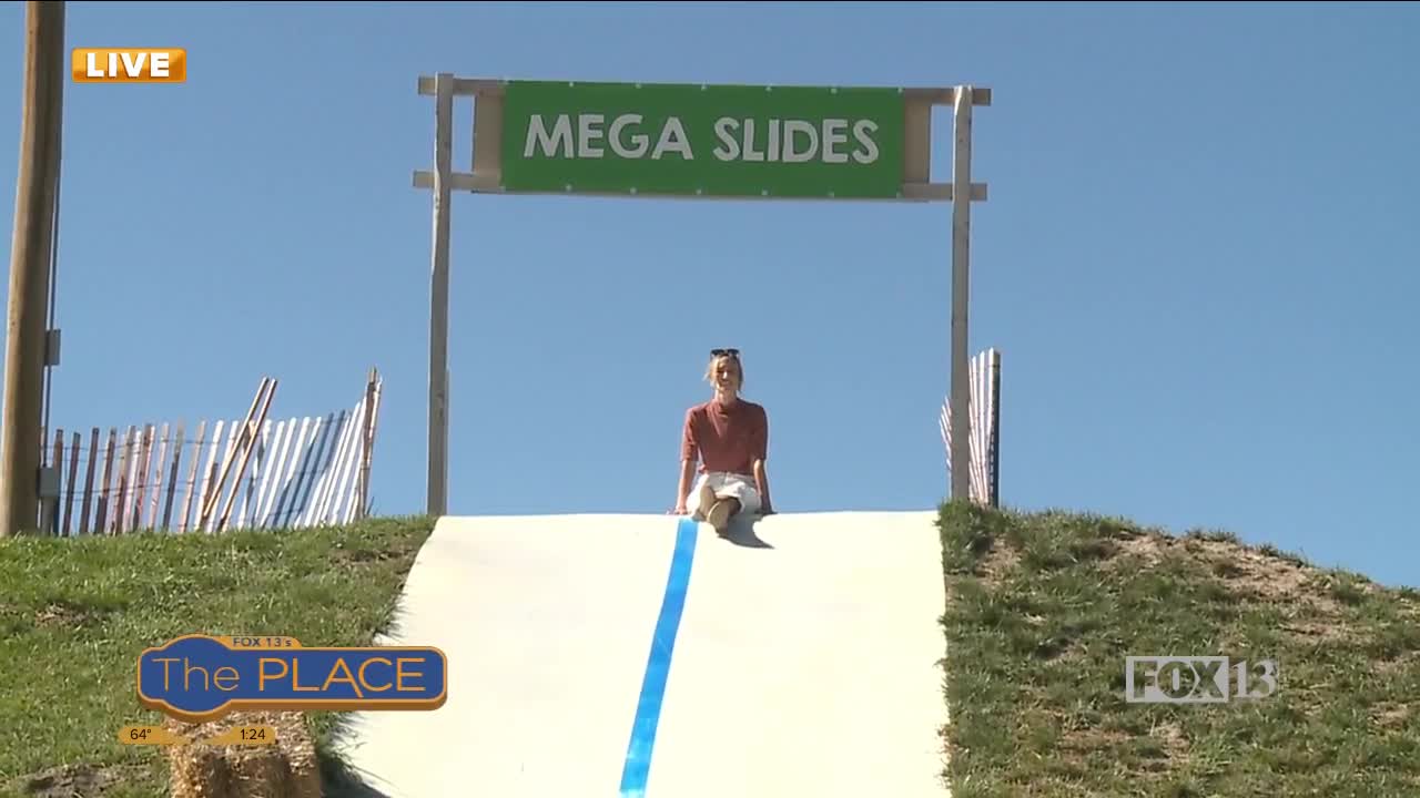 Family-friendly Fall Festival open now at Cross E Ranch