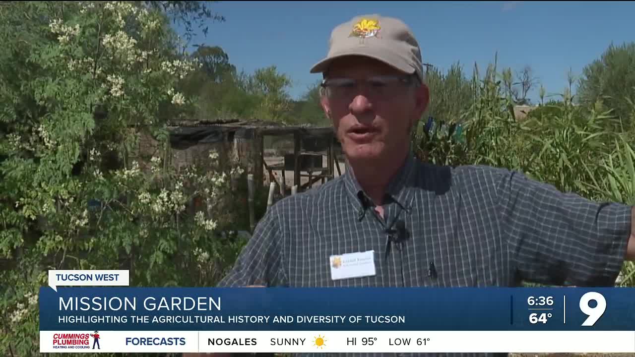 4,000 years of agricultural history on display at Westside's Mission Garden
