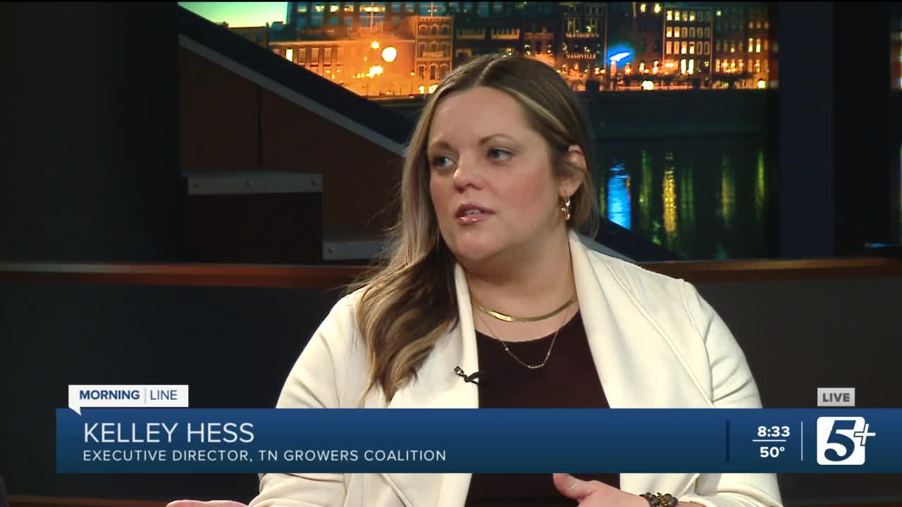 Hemp Laws in Tennessee