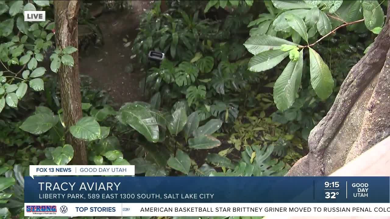 The Tracy Aviary at Liberty Park