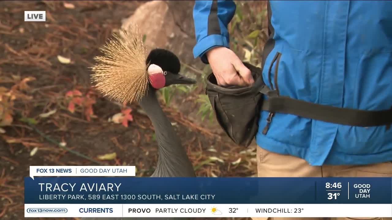 The Tracy Aviary at Liberty Park