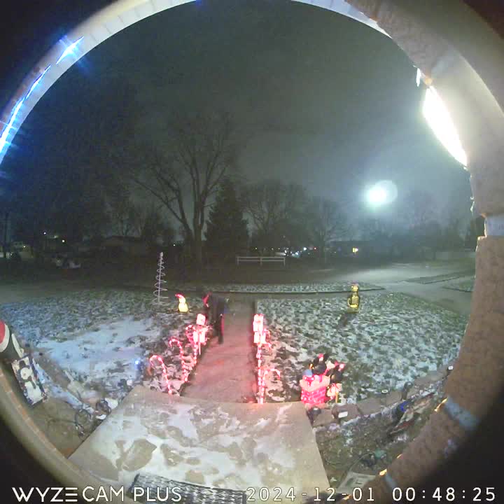 VIDEO: Real-life Grinch captured stealing Warren family's Christmas ...