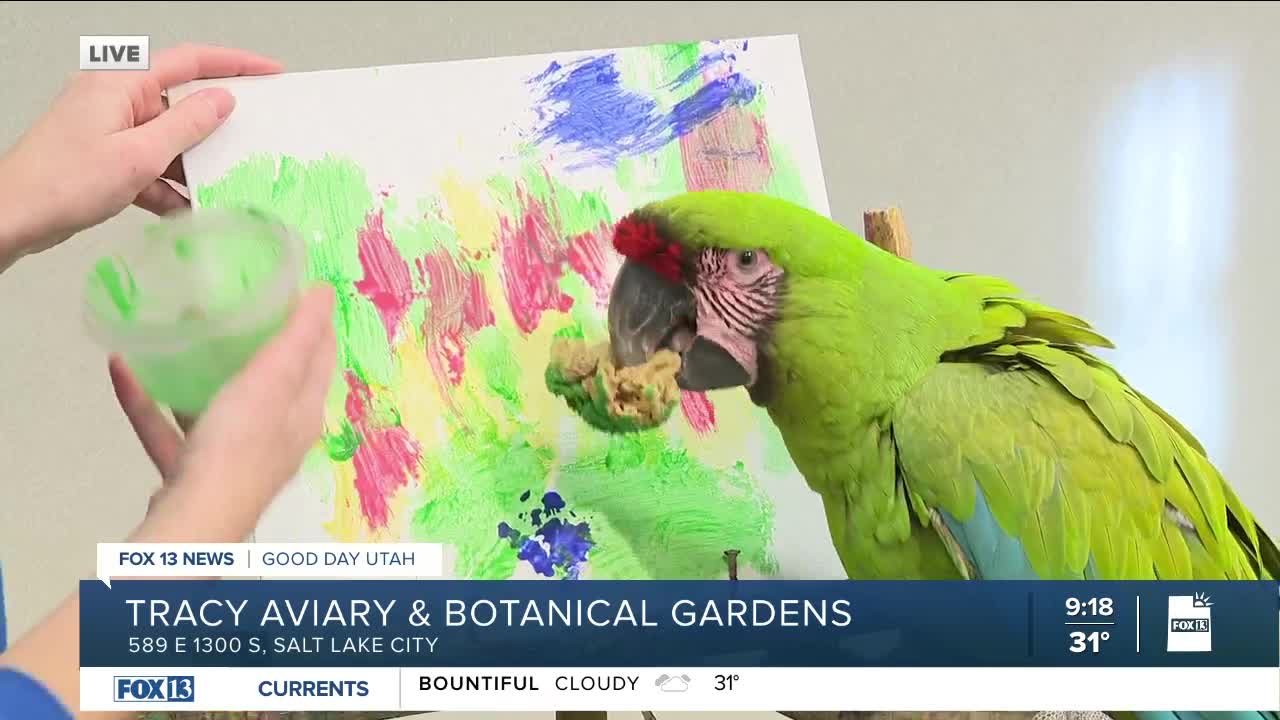 The Lightwalk (and more!) at the Tracy Aviary