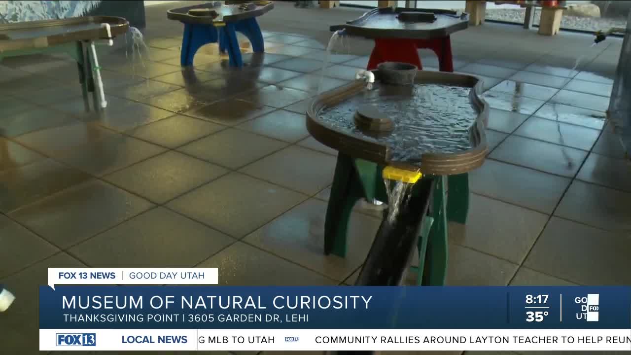 The Museum of Natural Curiosity