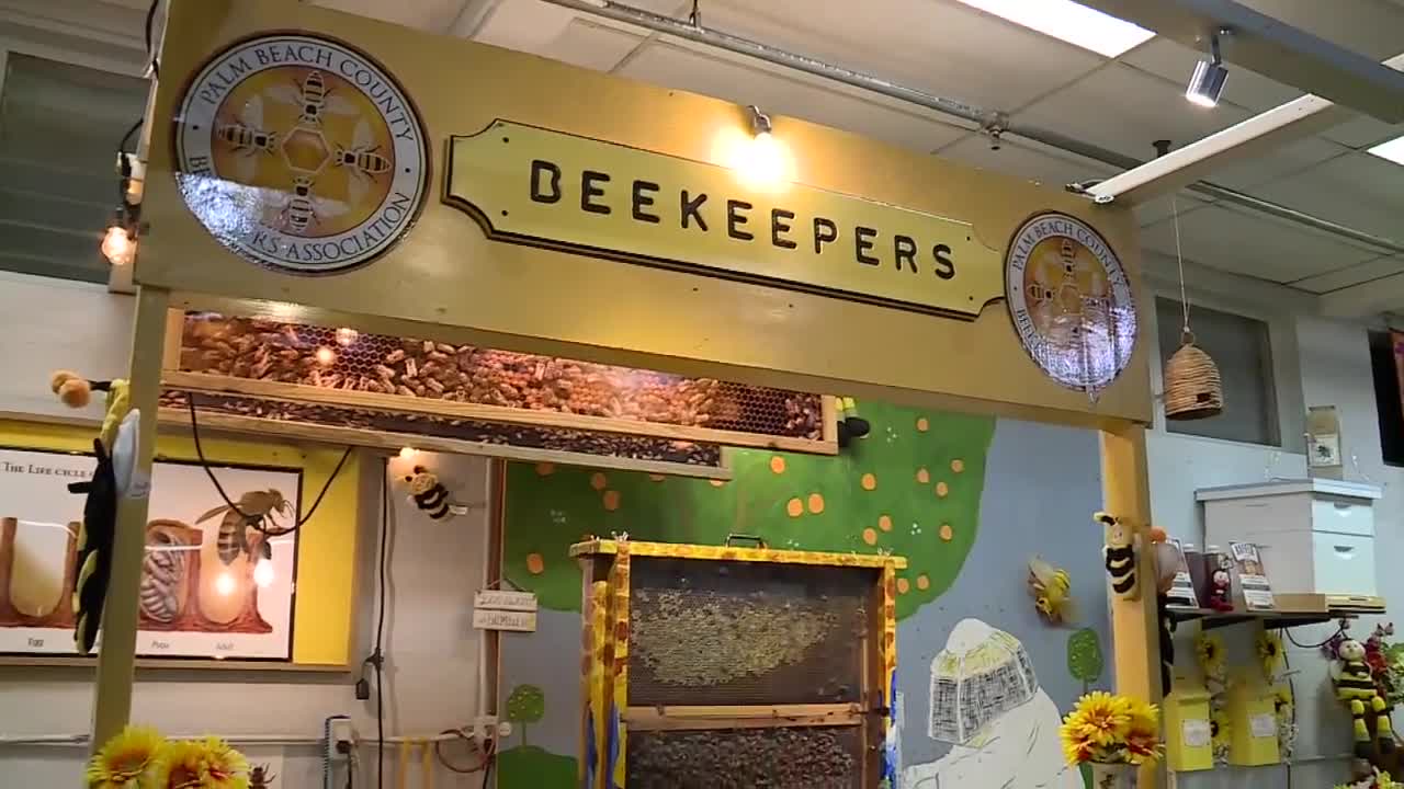 Step inside life-sized inflatable humpback whale at South Florida Fair