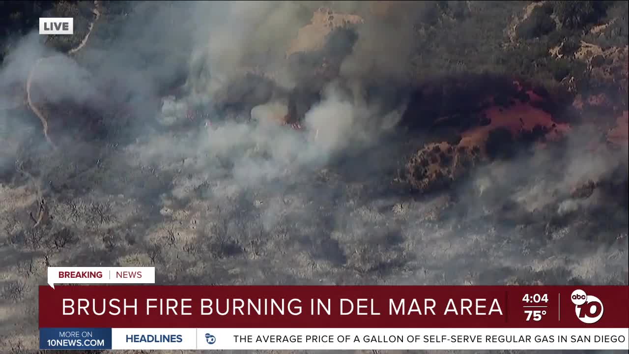 Forward spread of Del Mar fire stopped, evacuations lifted