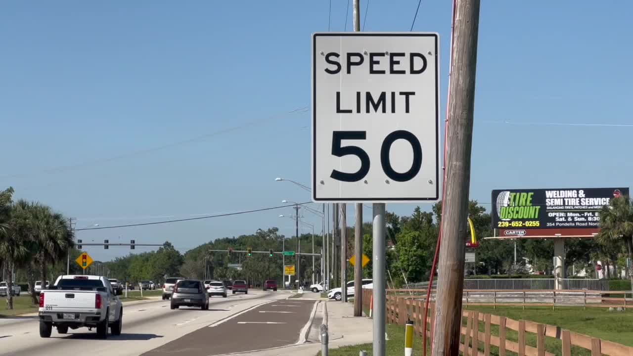 SWFL Eagle Cam fans want safer conditions for the beloved birds