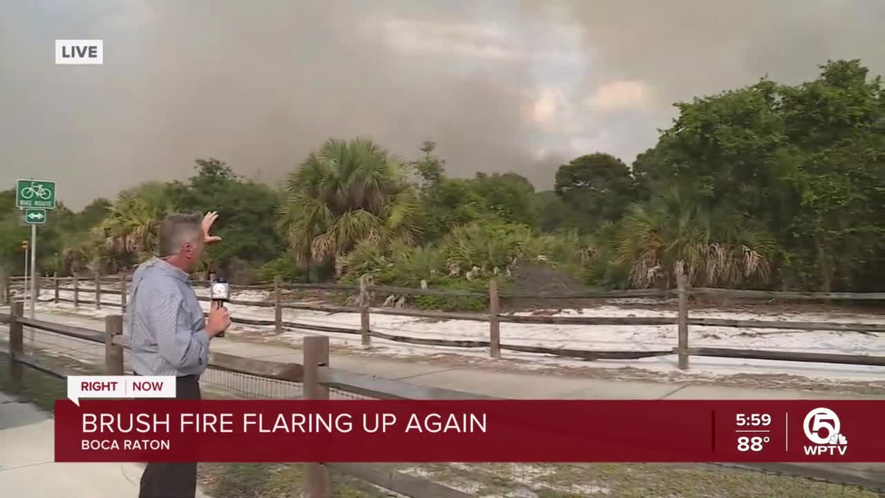 Brush fire near Boca Raton Costco contained, but not extinguished