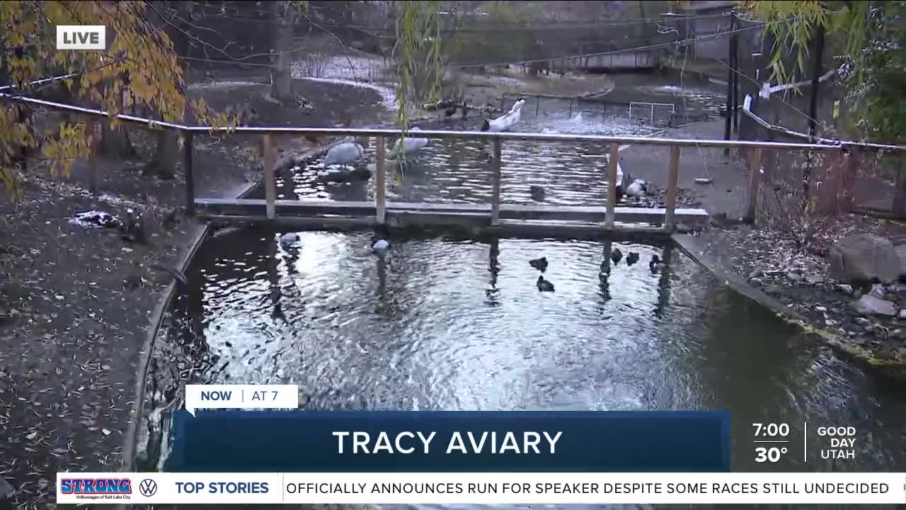 The Tracy Aviary at Liberty Park