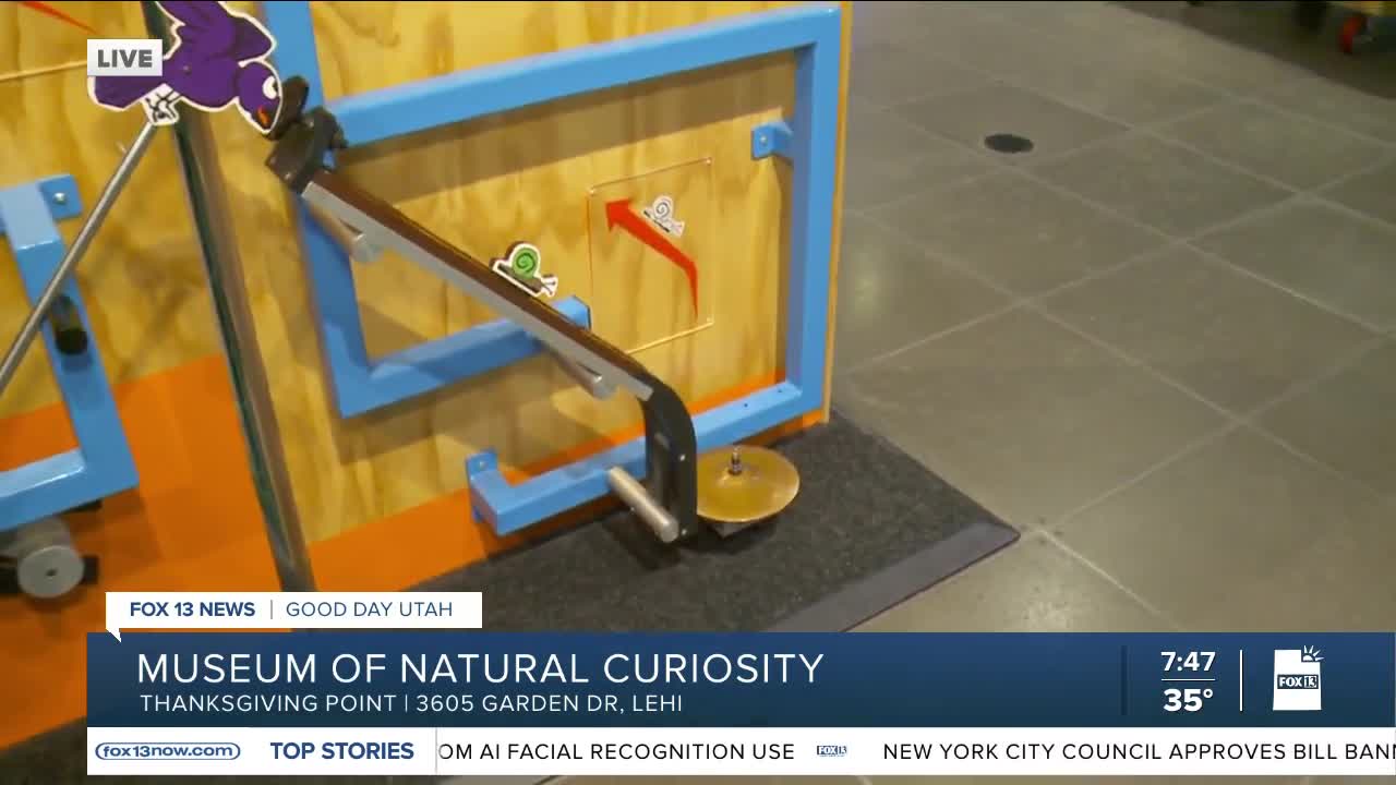 The Museum of Natural Curiosity