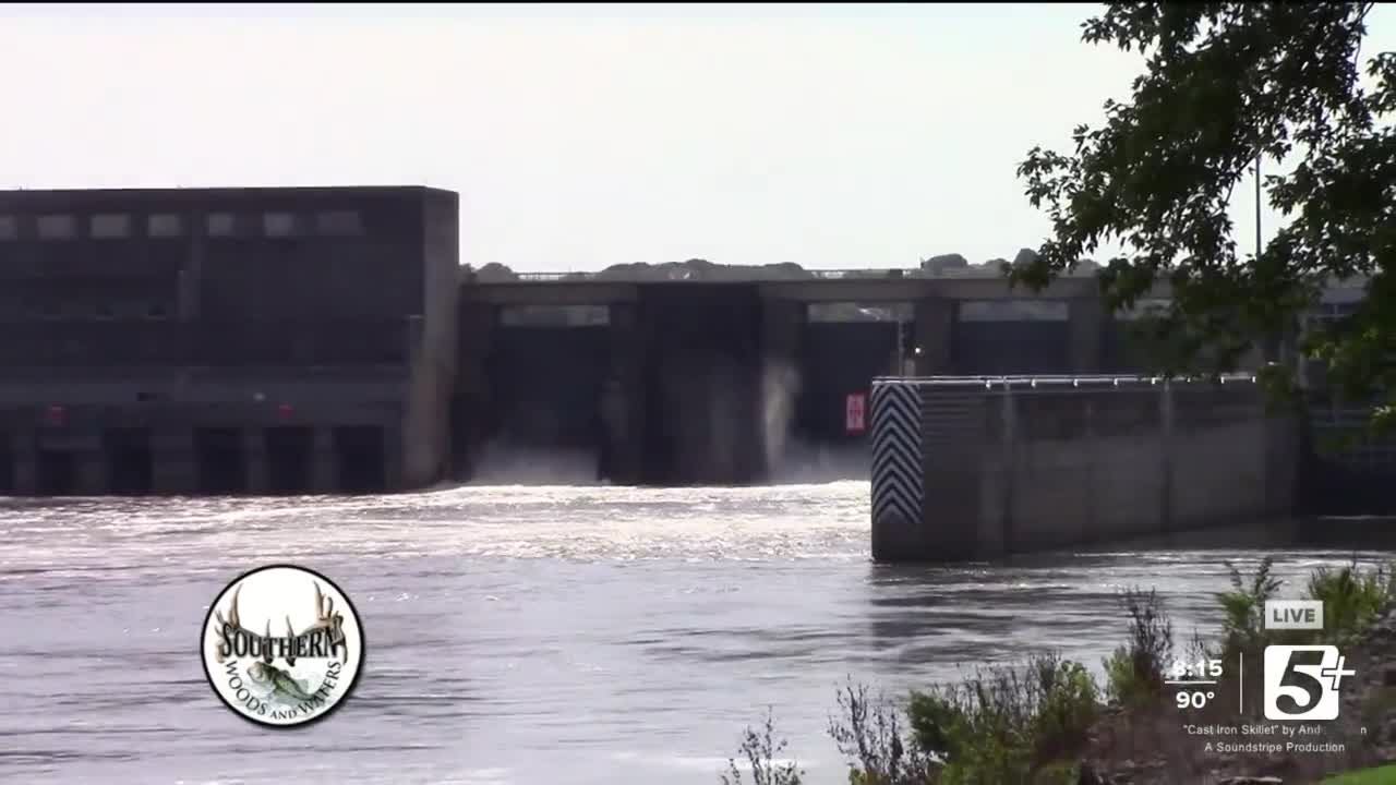 Catfishing on Old Hickory Dam