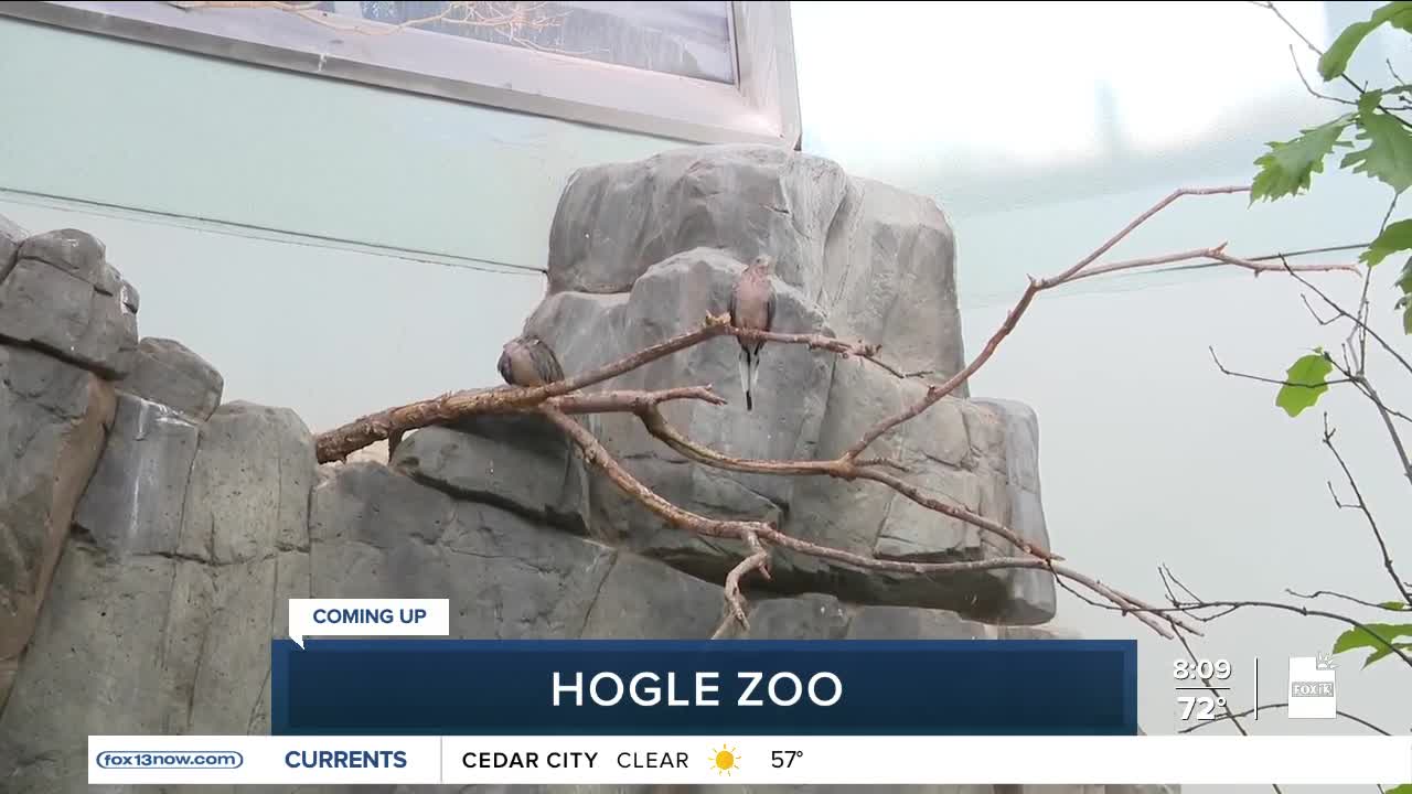 Hogle Zoo