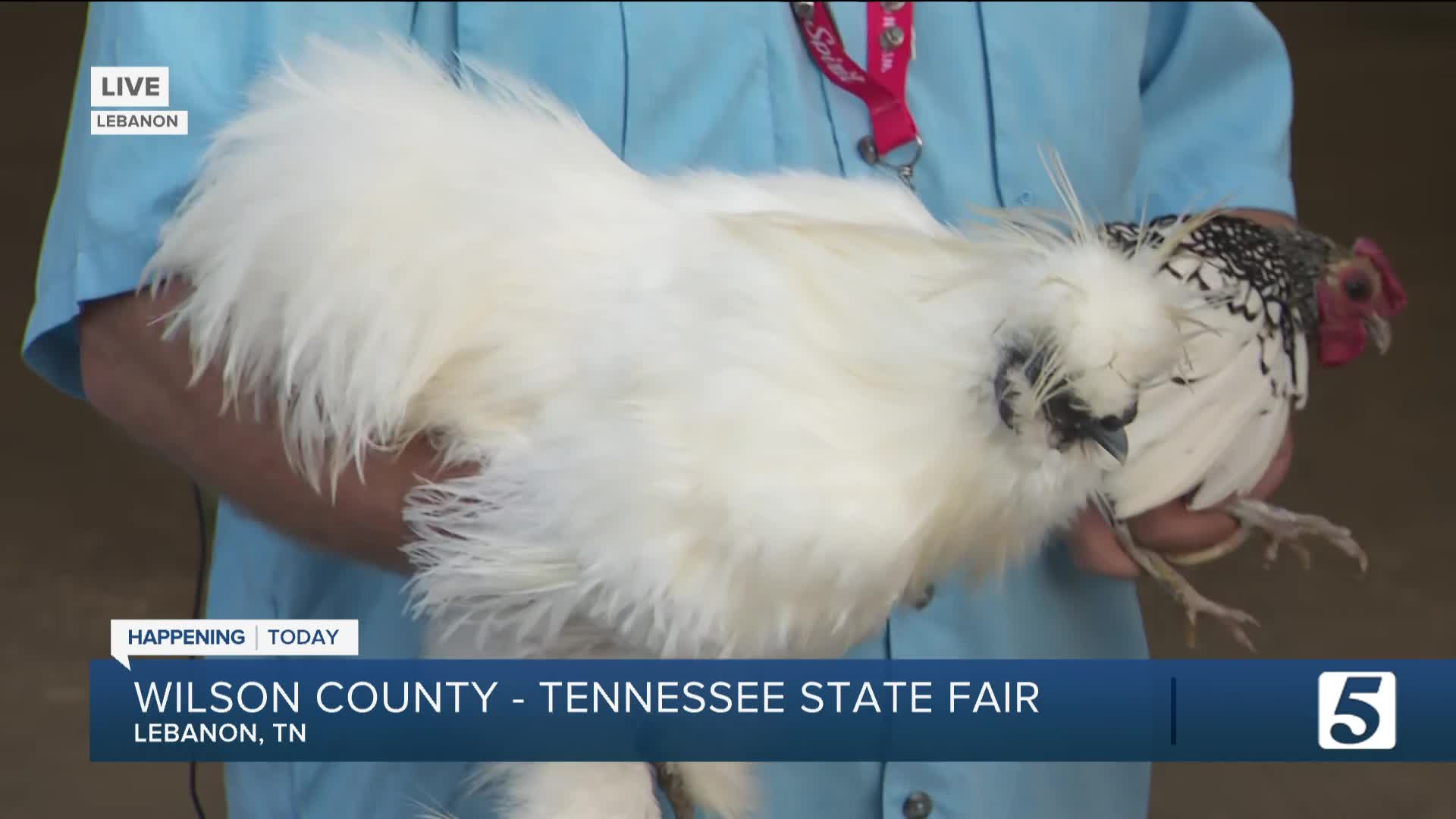 It's fun for all ages! Head on out to the Wilson County - Tennessee ...