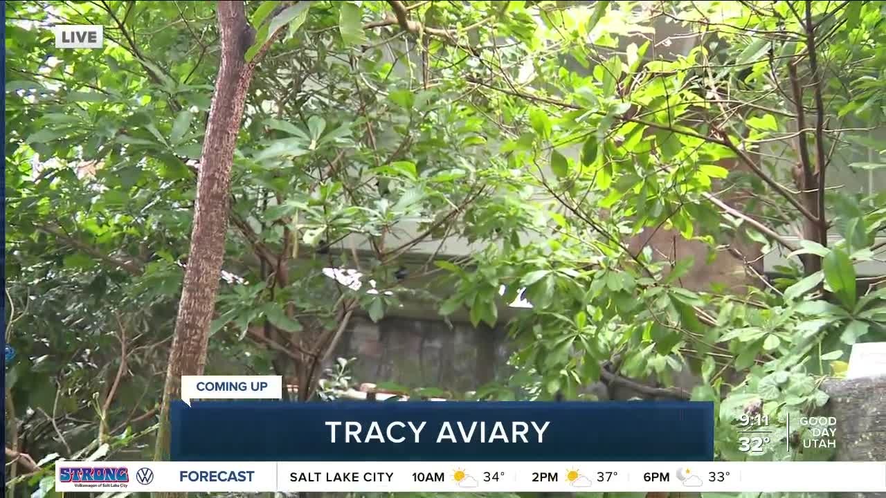 The Tracy Aviary at Liberty Park