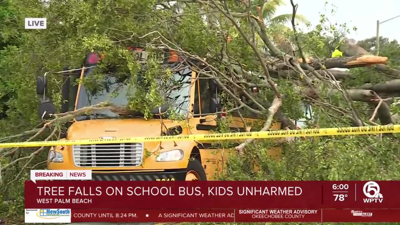 Large tree topples over, lands on school bus in West Palm Beach