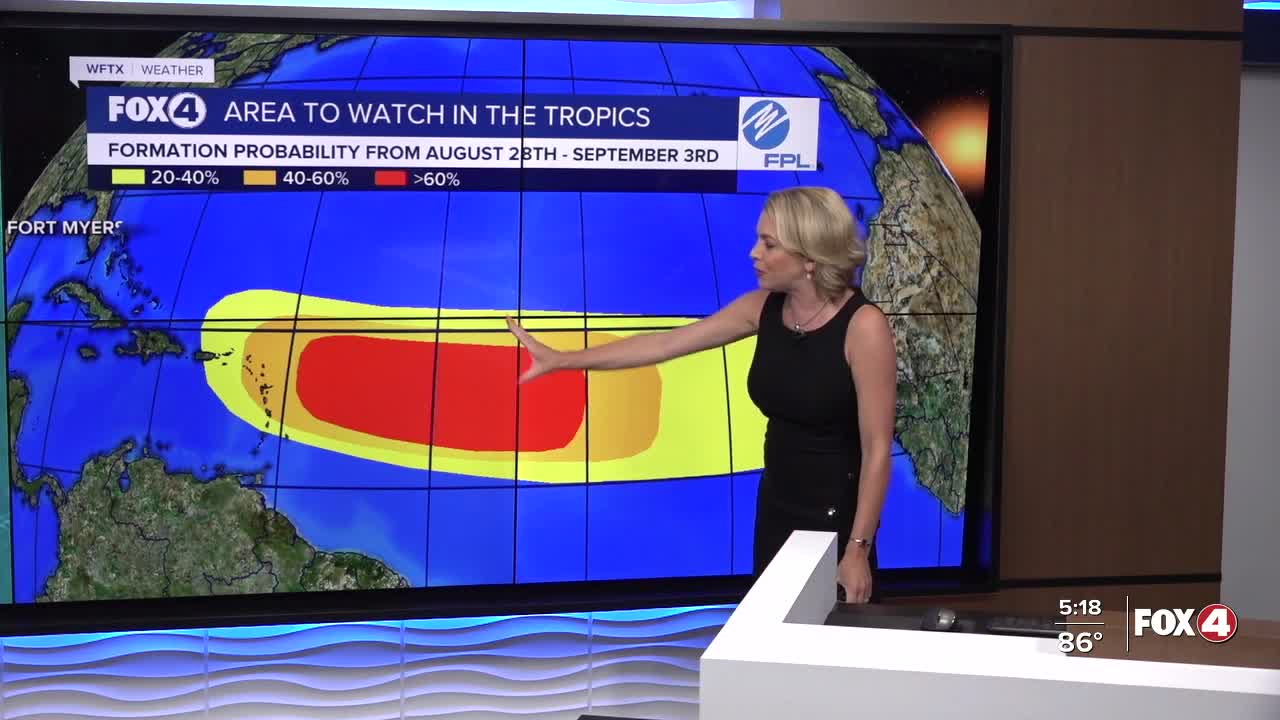 Hurricane News, Hurricane Updates Florida | Fox 4 News - Hurricane