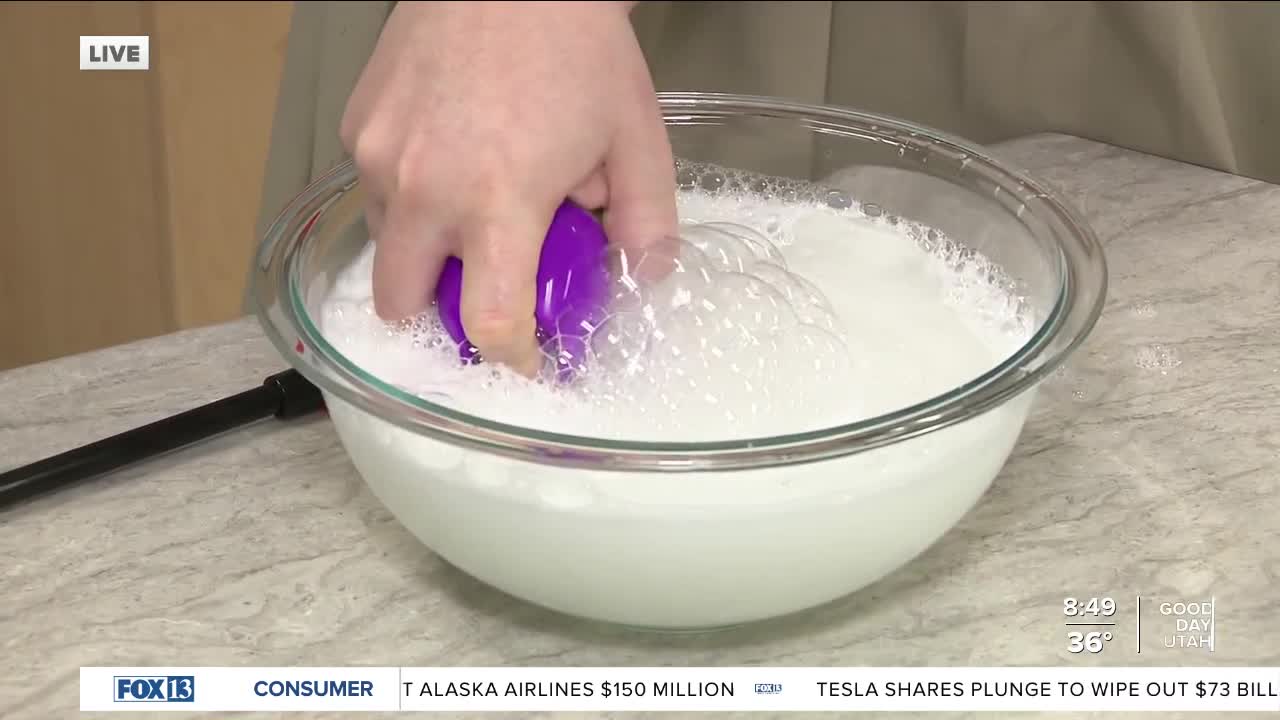 The Beehive Science and Technology Academy's STEM Expo