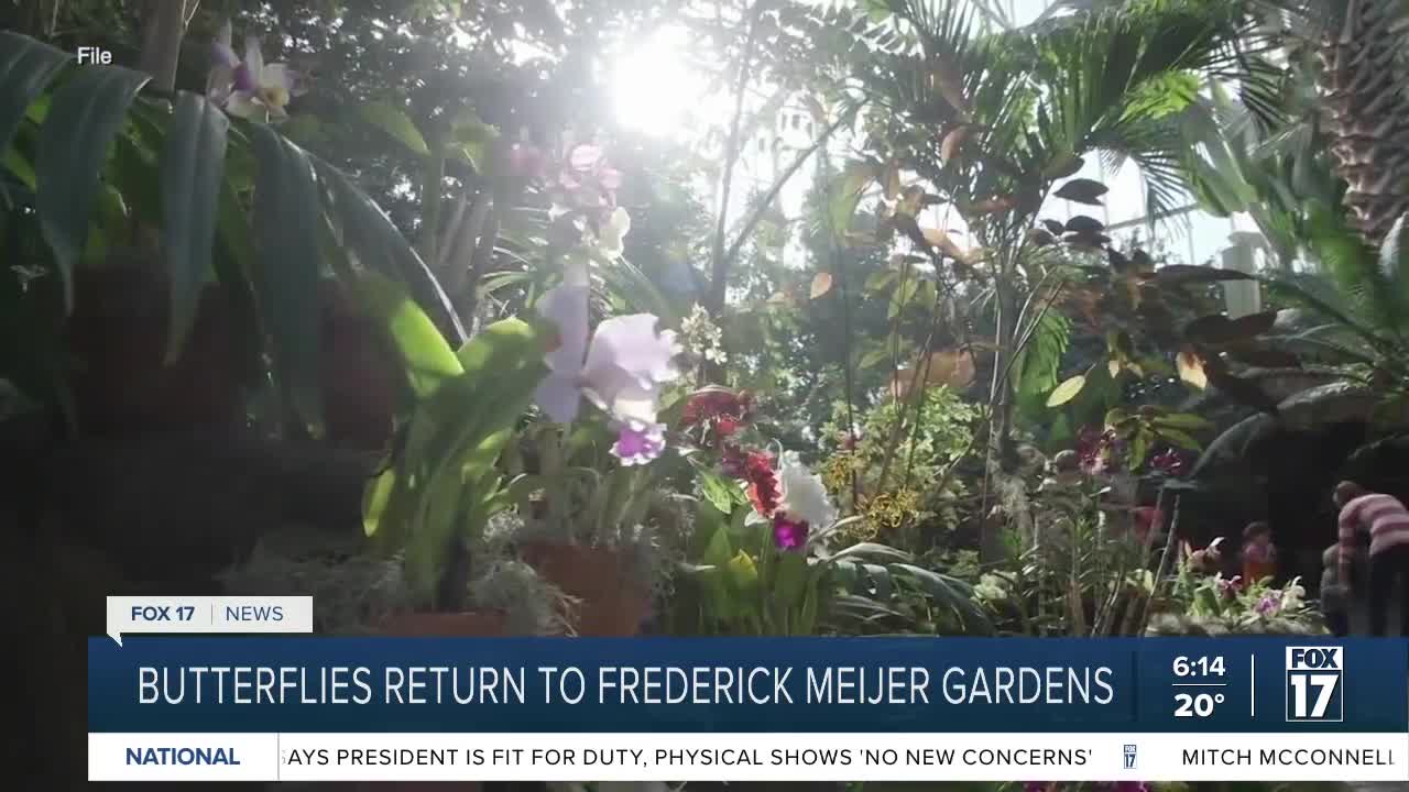 Butterflies are back at Frederik Meijer Gardens
