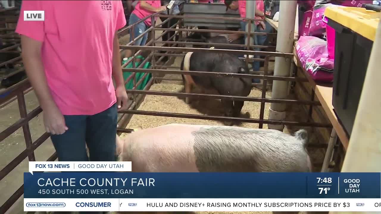 The Cache County Fair