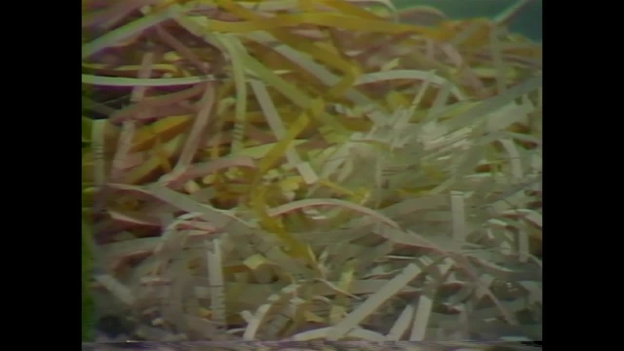 Rick Sallinger, former WRTV reporter, dies at 74