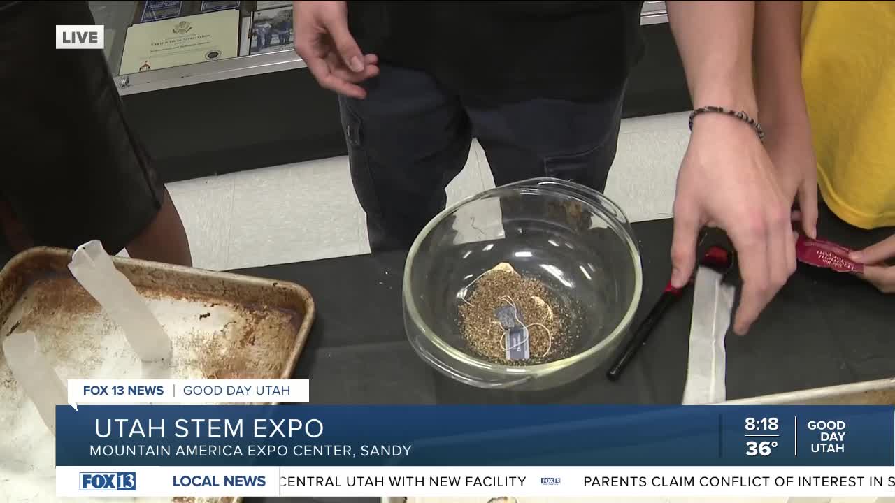 The Beehive Science and Technology Academy's STEM Expo