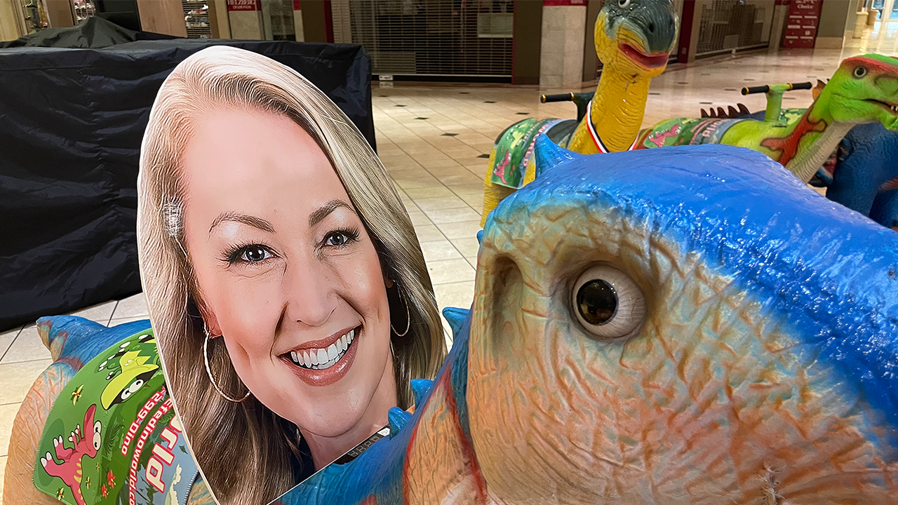 Bumper cars on ice: WPTV Morning News Summer Games