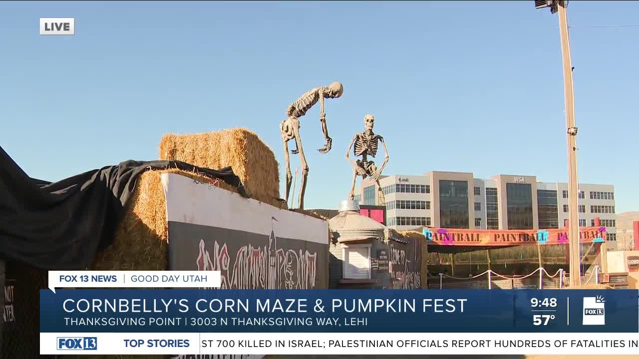 Cornbelly's Corn Maze and Pumpkin Fest