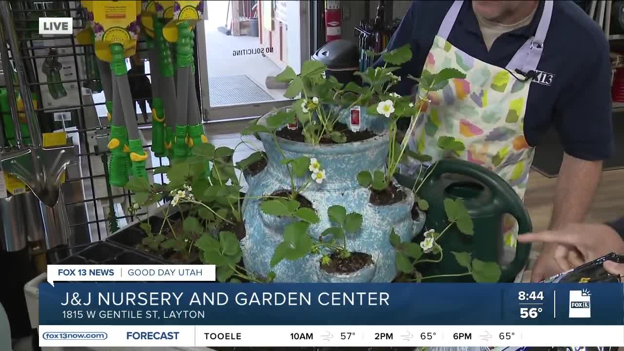Get Ready for Spring with J&J Garden Center