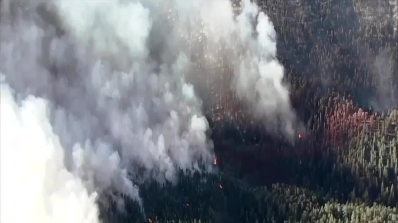 Crews locate one damaged building as Pearl Fire holds steady Wednesday