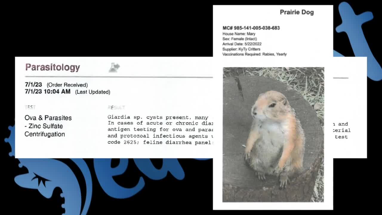 SeaQuest accused of exploiting animals for profit