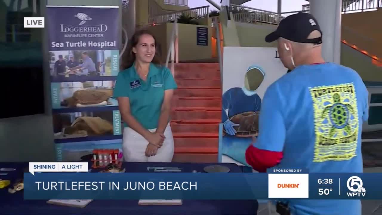 TurtleFest 2024: New parking instructions for Saturday