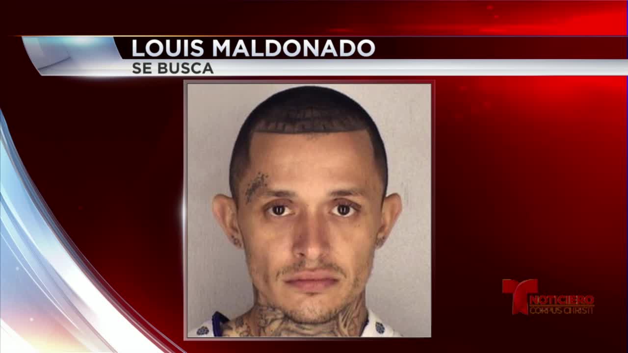 CCPD en busca de un sujeto llamado Louis Maldonado