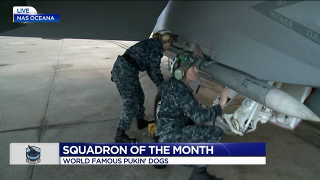 Squadron of the Month: VFA-143 The Pukin’ Dogs