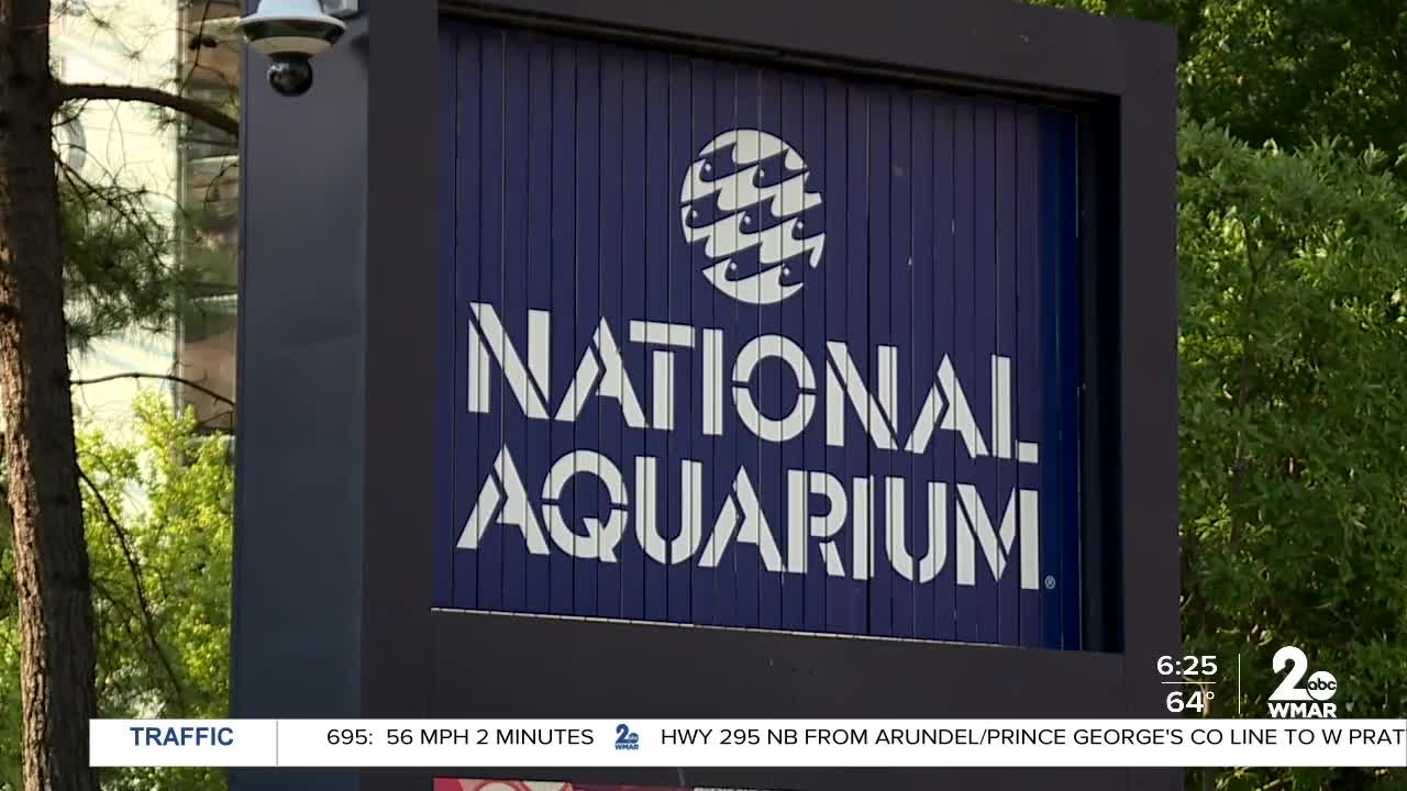In Focus: As National Aquarium turns 40, a look back at its ...