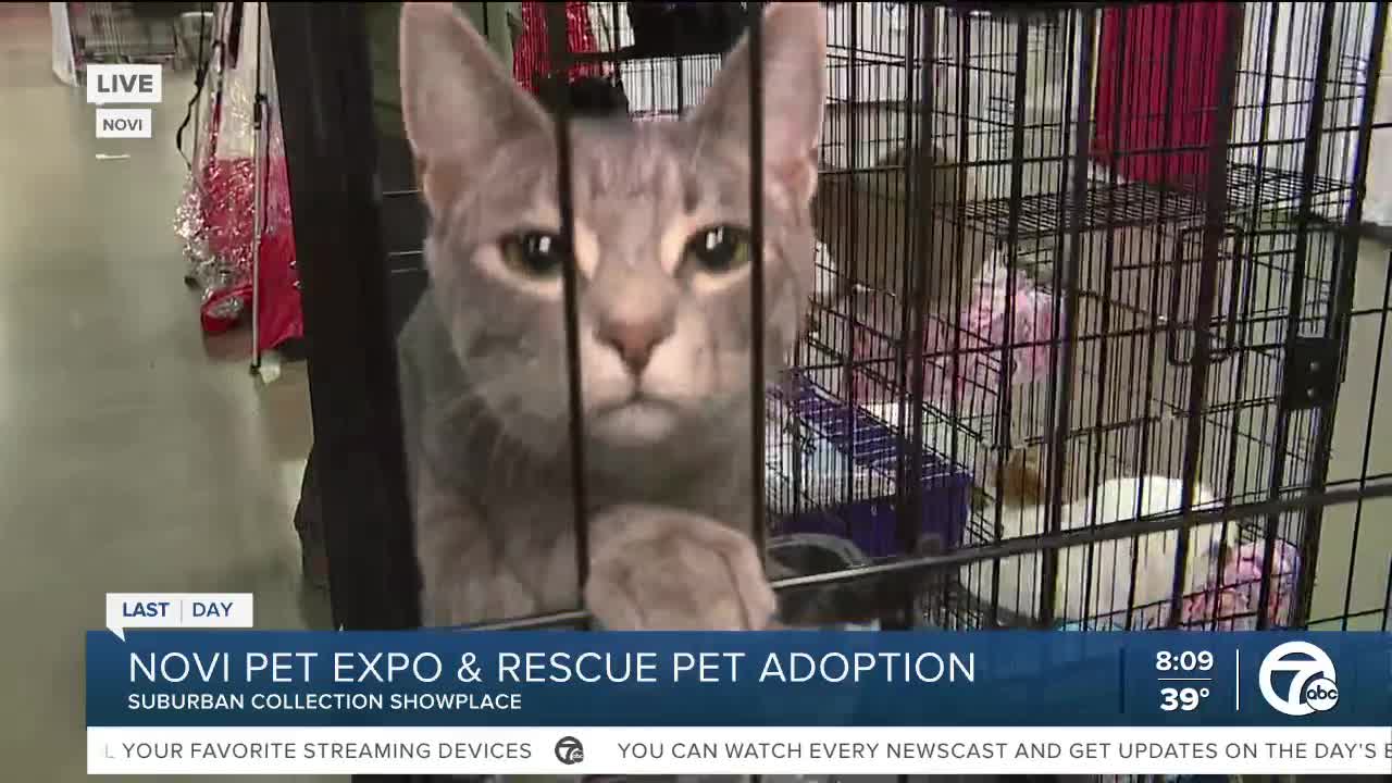 Holiday Pet Expo & Rescue Pet Adoption