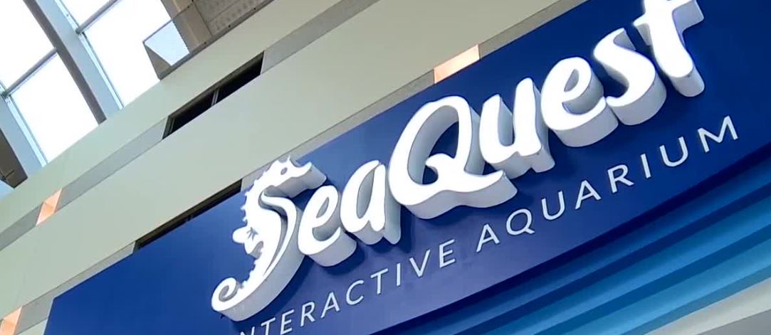 Citation issued as SeaQuest remains under investigation