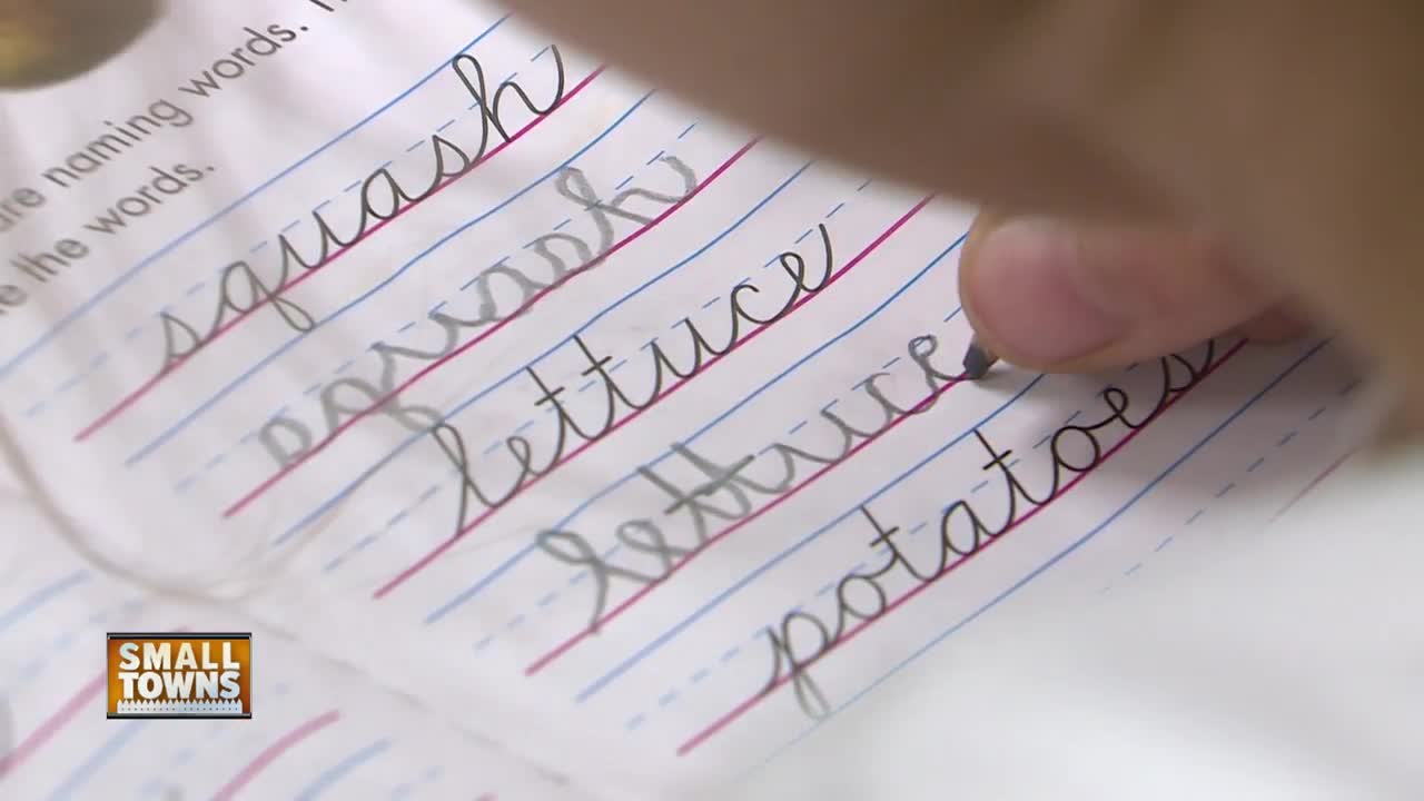 Teachers breakdown the importance of a cursive course
