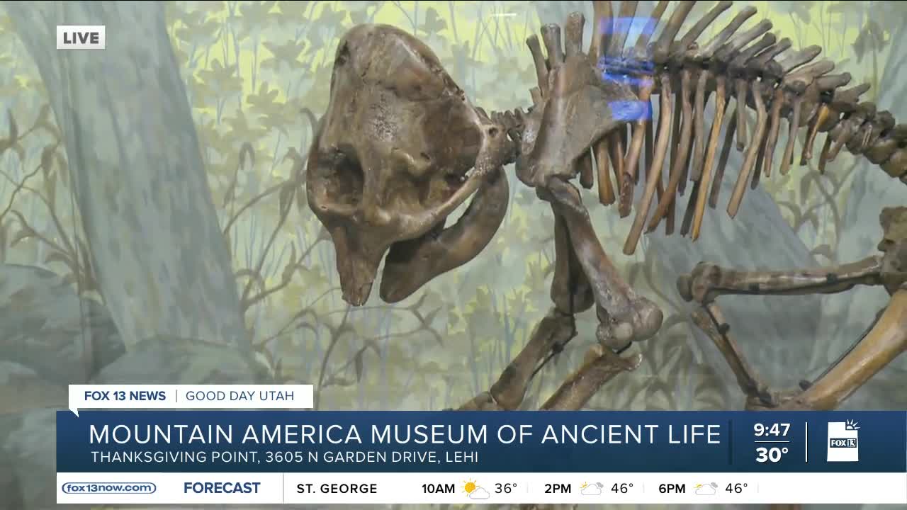 The Mountain America Museum Of Ancient Life