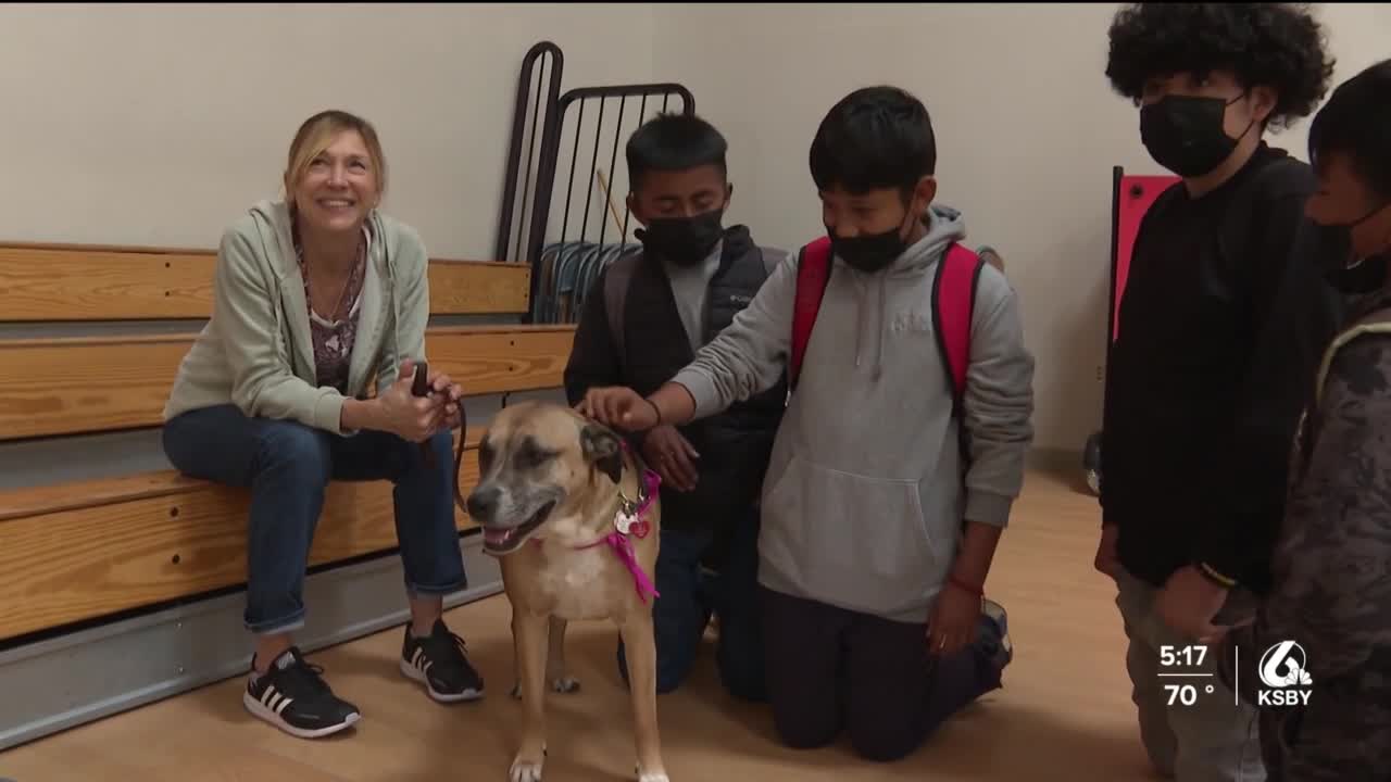 Therapy dogs visit students at Santa Maria junior high school