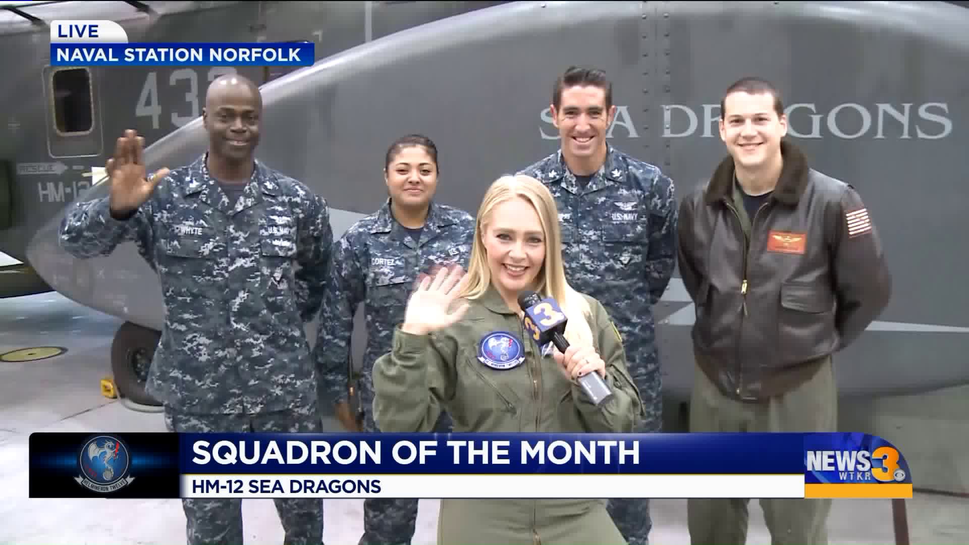 HM-12 Sea Dragons is the October Squadron of the month