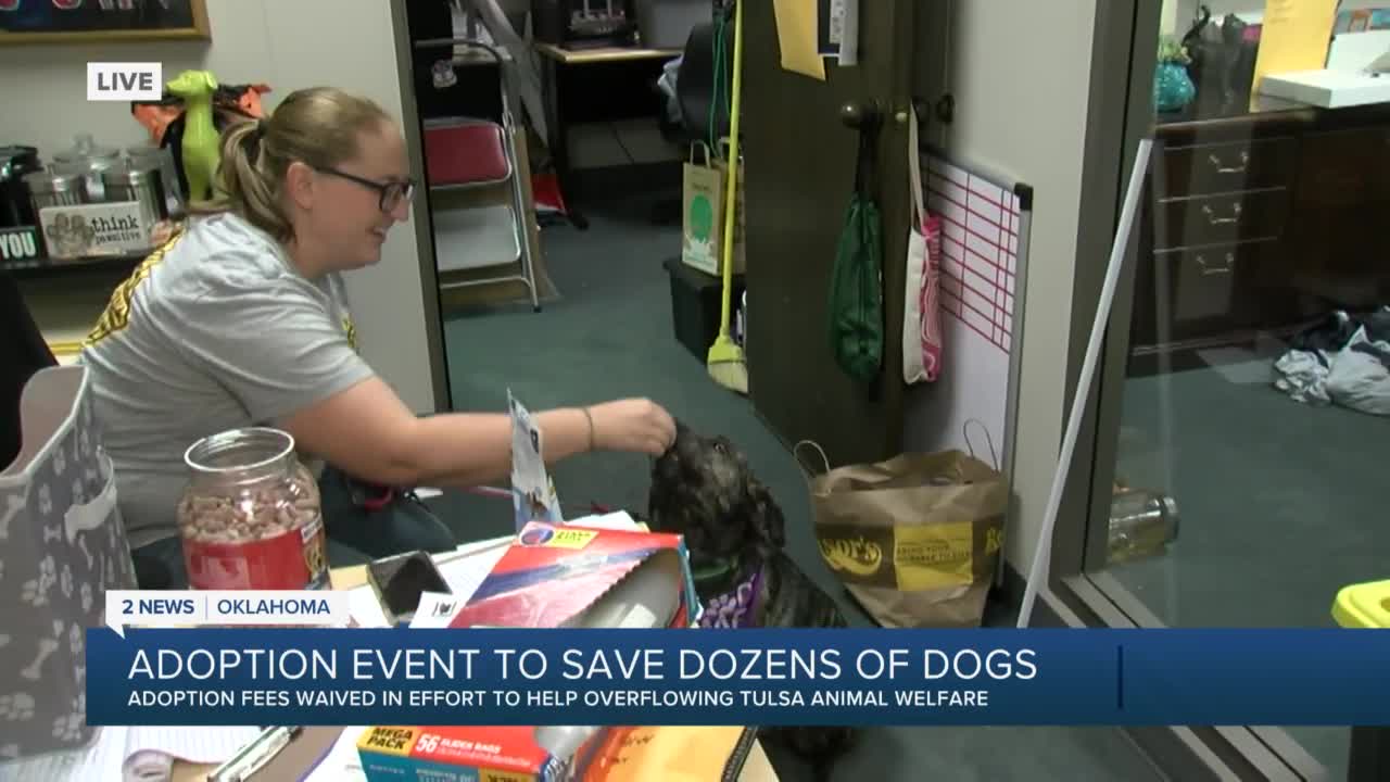 Local organizations hosting mega dog adoption event this weekend