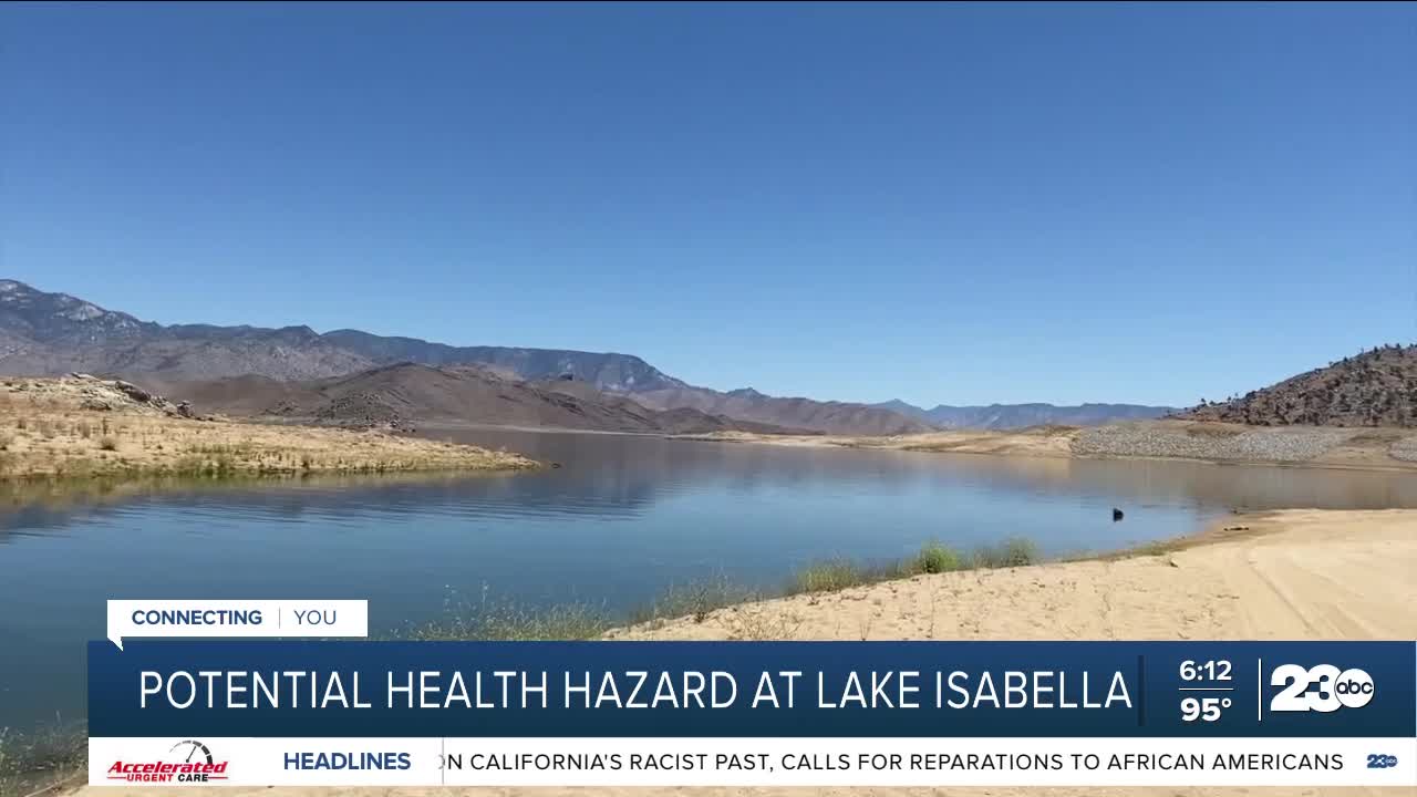 Public Health Department warns of the dangers of blue-green algae in ...