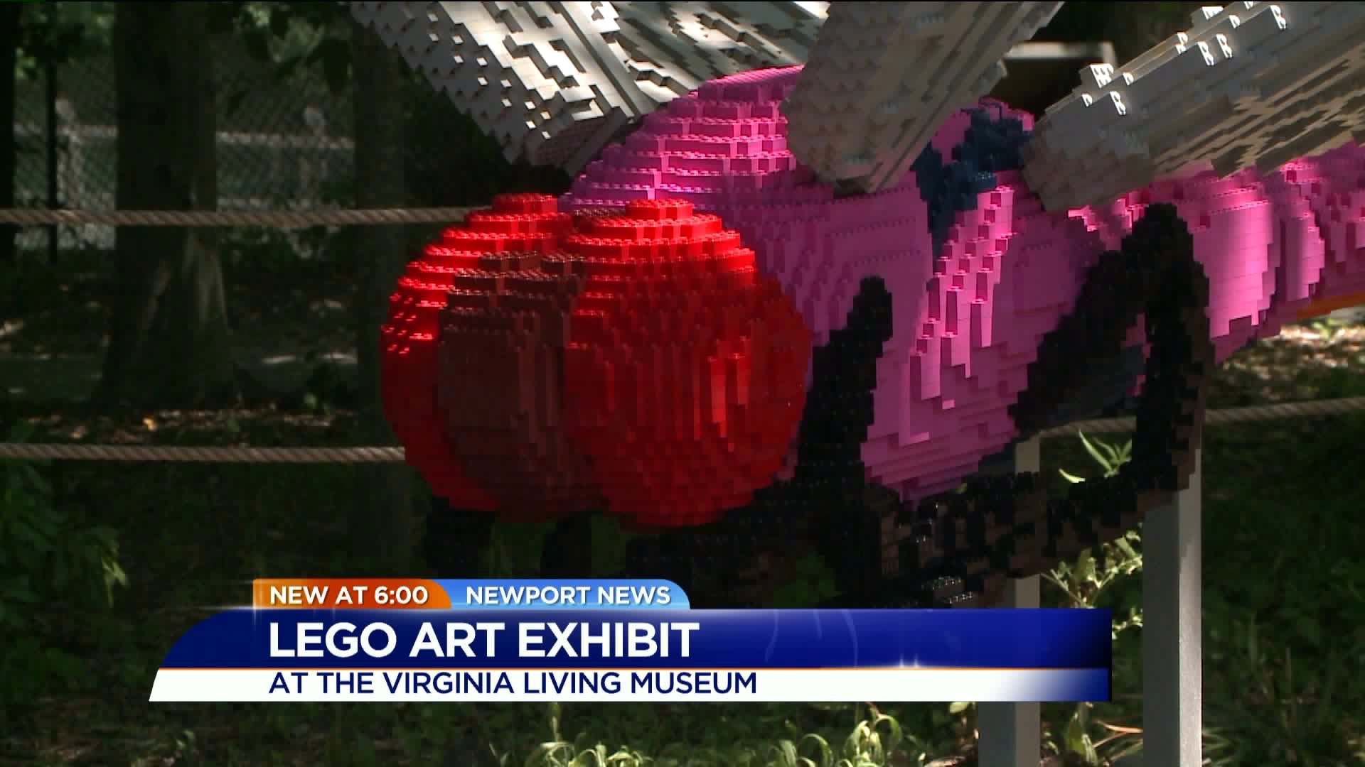 New LEGO sculpture exhibit at Virginia Living Museum combines nature ...