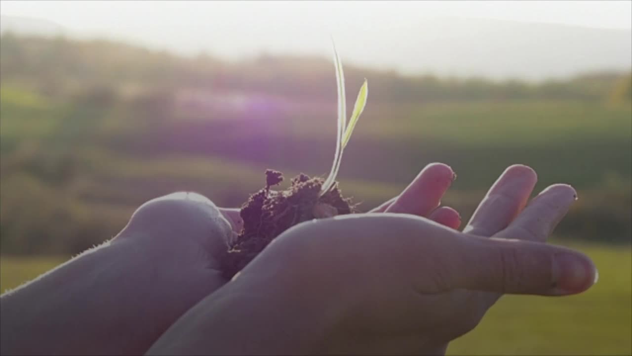 Stop throwing trash out your car window