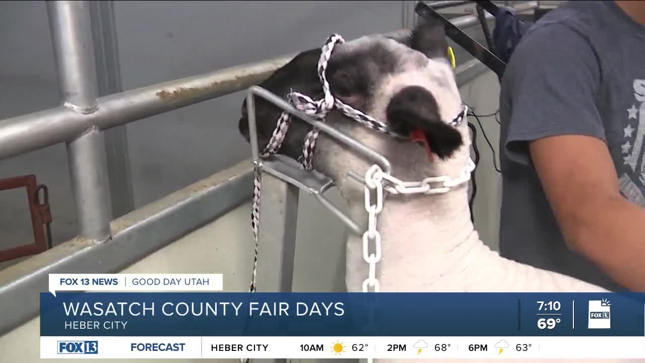 Wasatch County Fair Days